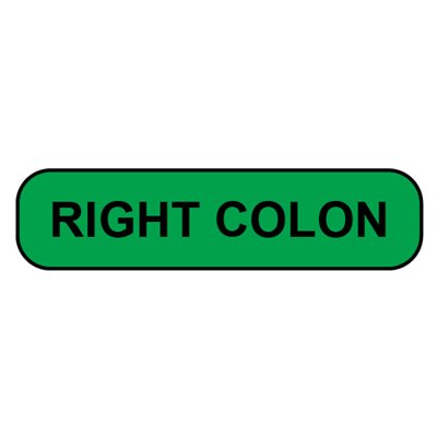 Label: Right Colon