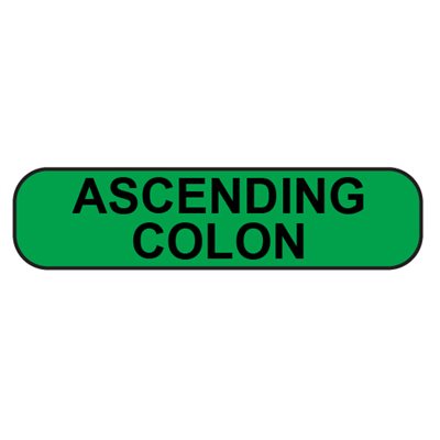 Label: Ascending colon
