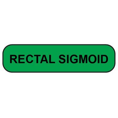 Label: Rectal Sigmoid