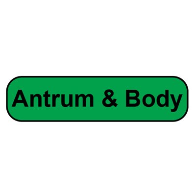Label: Antrum & Body