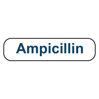 Label: Ampicillin